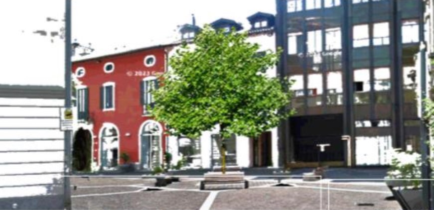 Dopo le luci d'artista Gallarate fiorisce: in centro arrivano alberi e ...